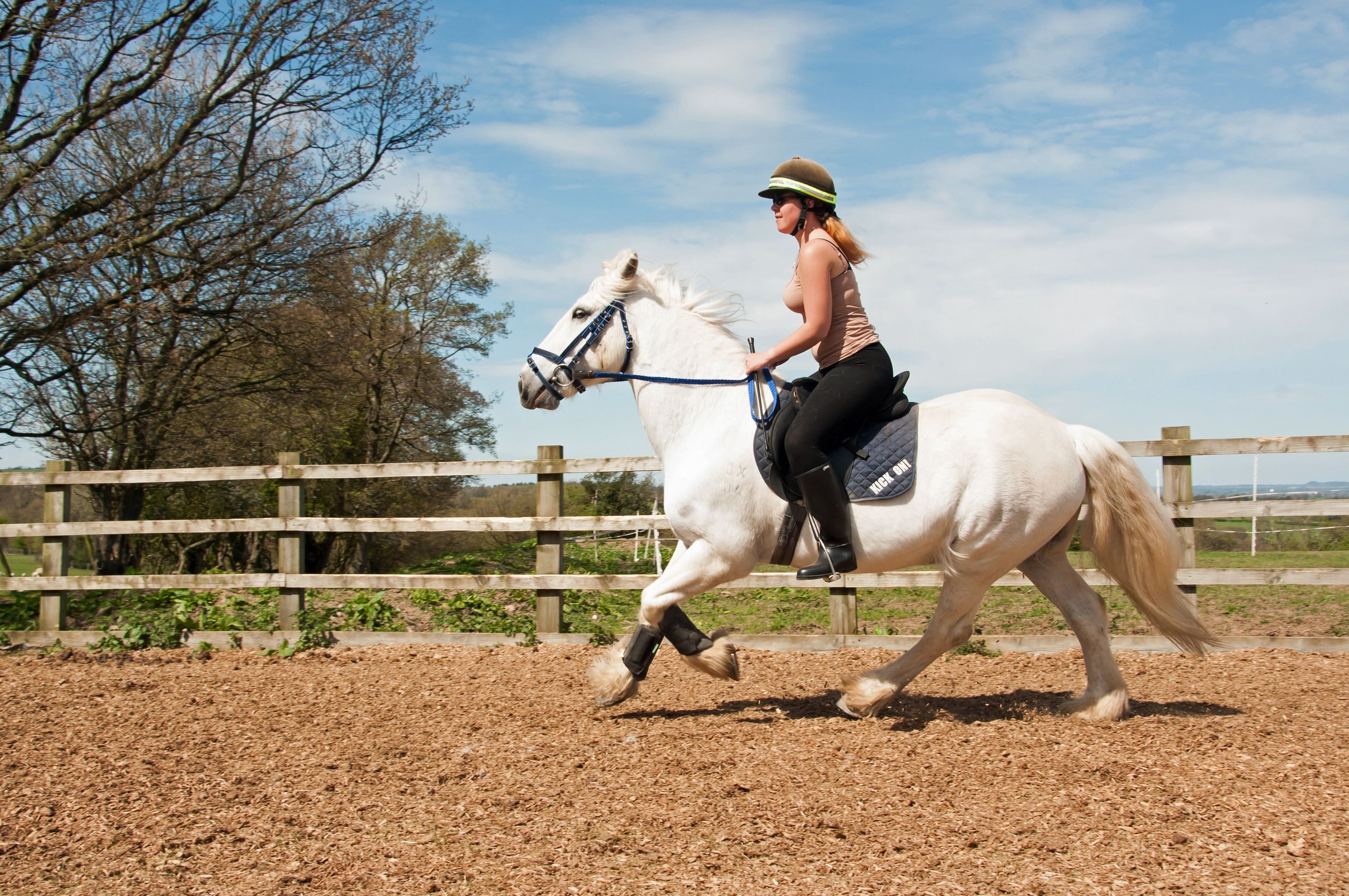 Gallery - Springride Surfaces